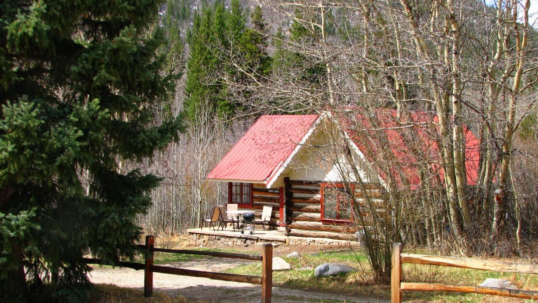 Beaver | Mount Elbert Lodge & Cabins